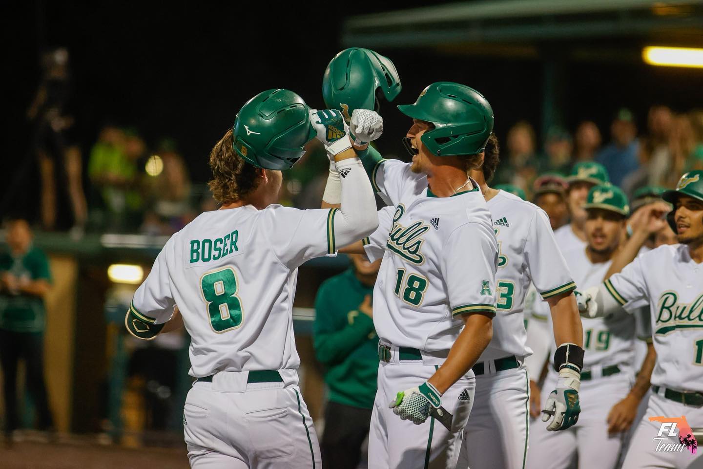 PHOTOS | No. 13 Maryland Terrapins @ USF Bulls | College Baseball | 2 ...