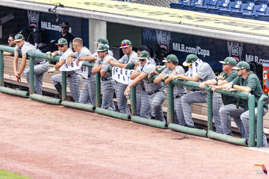 PHOTOS | USF Bulls @ ECU Pirates | AAC Baseball Tournament | 5/23/23 ...
