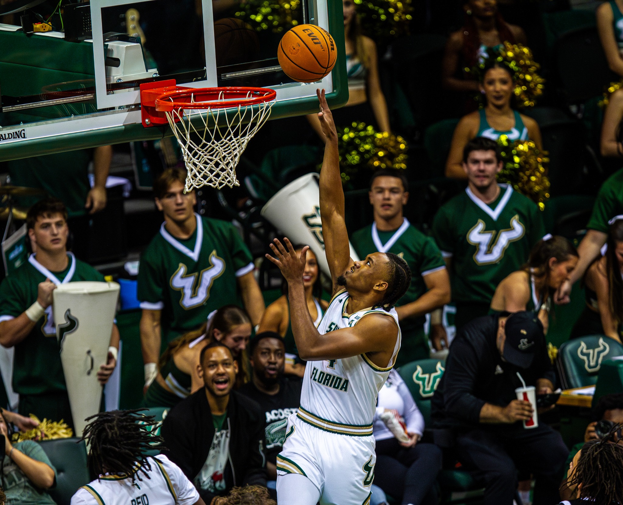 PHOTOS: USF Captures First Win of Season - FL Teams