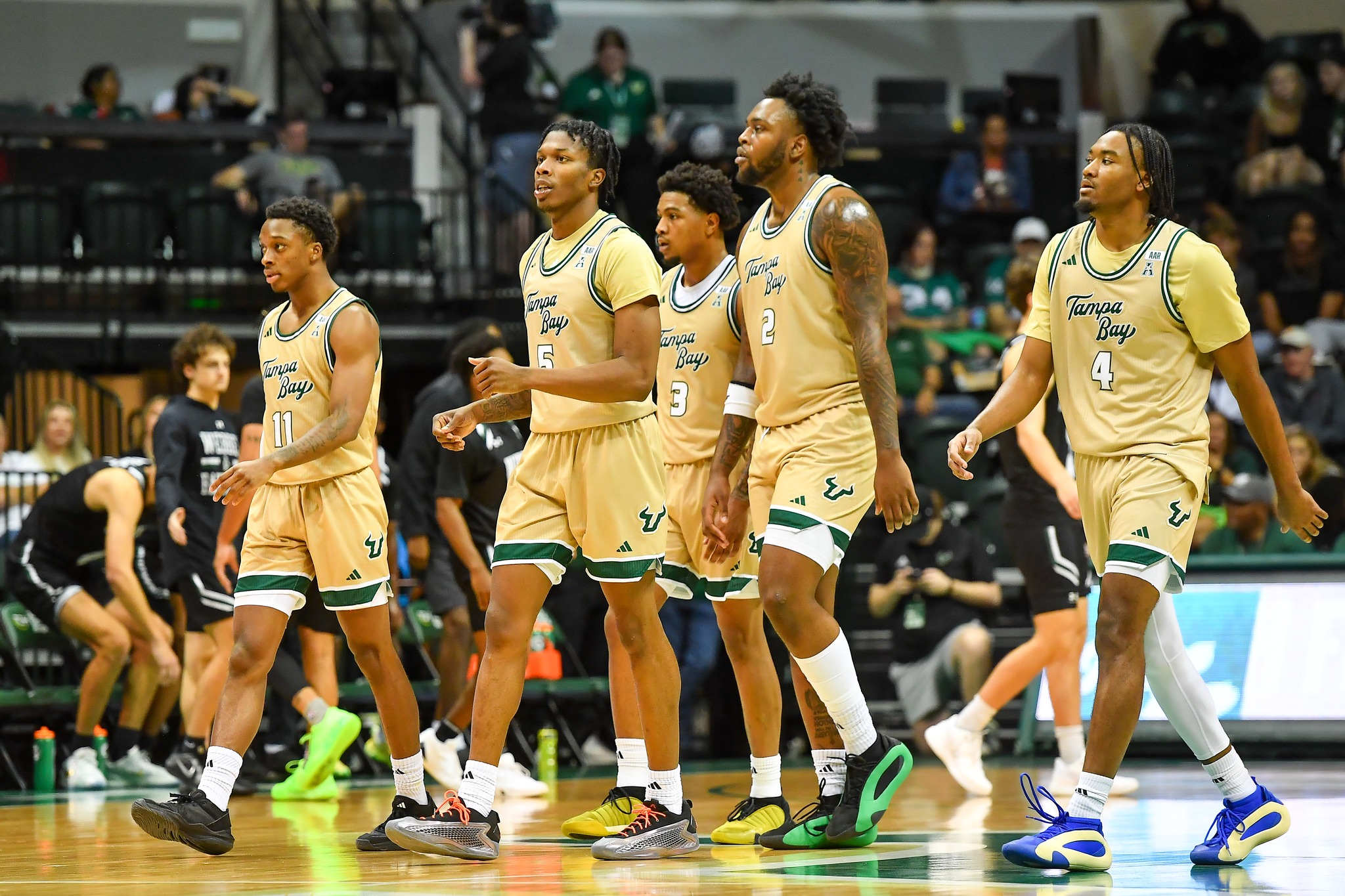 PHOTOS: USF Men's Basketball Defeats Webber International 106-49 - FL Teams