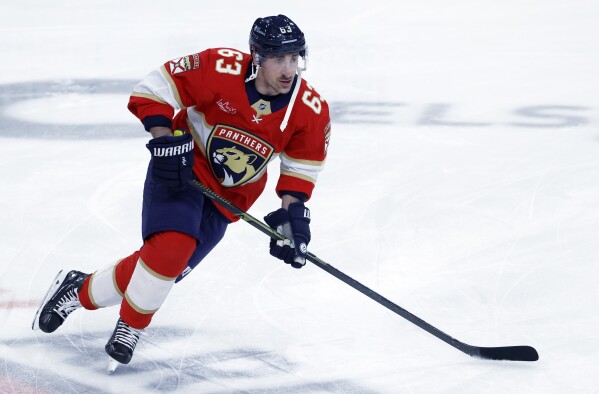 Florida Panthers November Recap - FL Teams